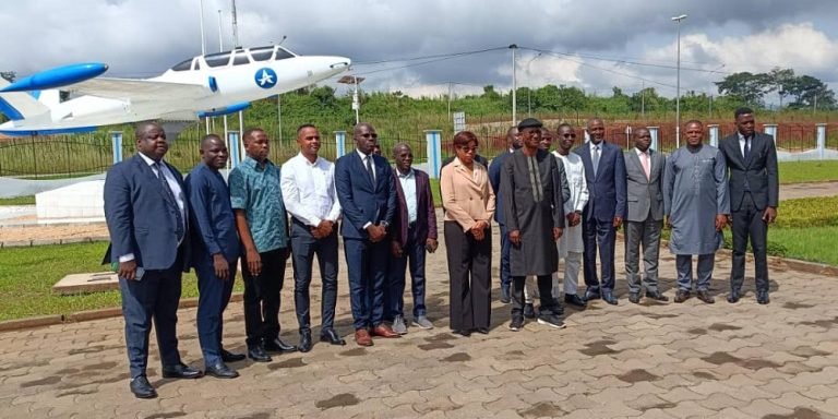 Training of civil aviation experts on flight procedures (PANS-OPS ...